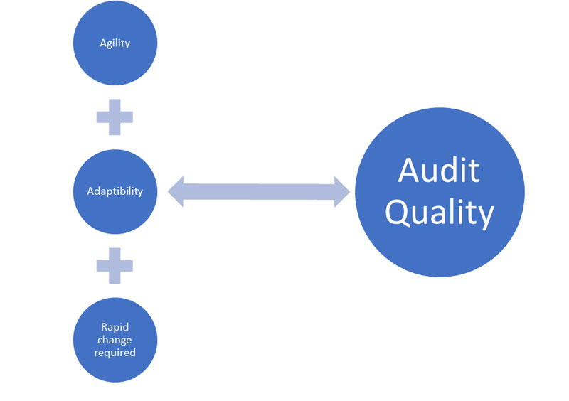 Quality audit vs. efficiency: How technology bridges the gap - MindBridge